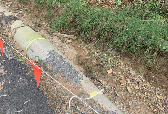 Archive Letters & Columns | NEWSPORT DAILY